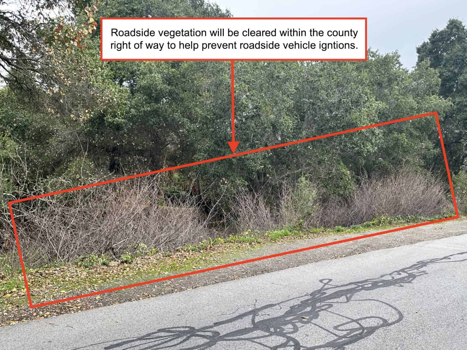 Roadside Vegetation Clearing